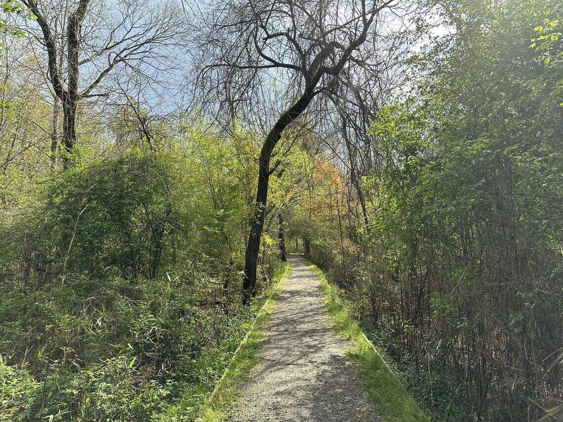 Here’s a list of the best hiking trails in Macon, GA | Macon Telegraph