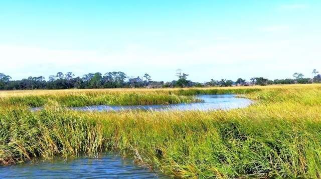 Bill would ease process of taking ownership of GA marshland | Macon ...