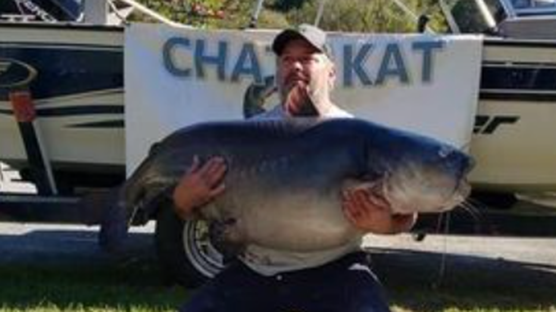 Catch of 110-pound catfish in Georgia has angler under fire | Macon ...