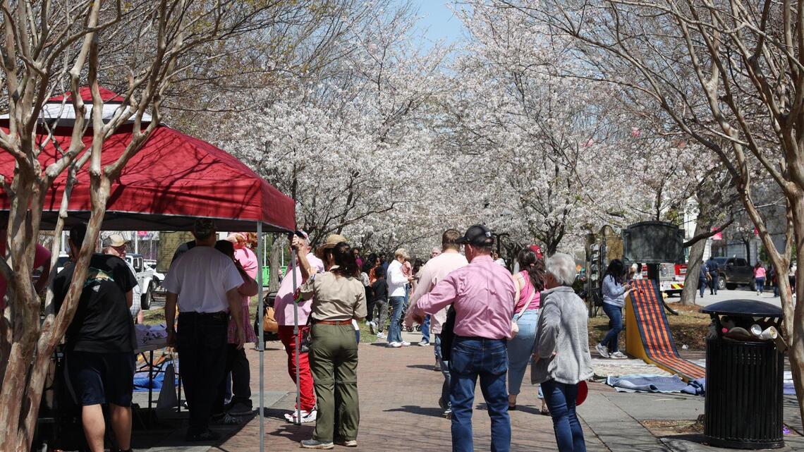 How many people come to Macon, GA for Cherry Blossom Festival? | Macon ...