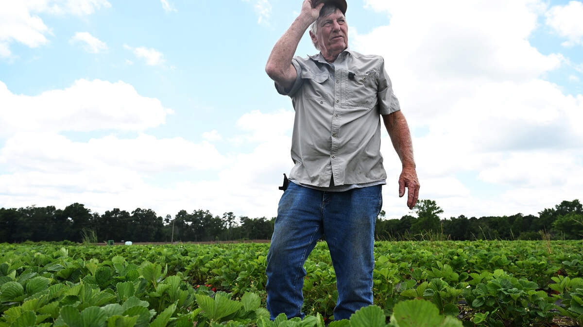Historic drought eases in Middle Georgia after heavy rain | Macon Telegraph
